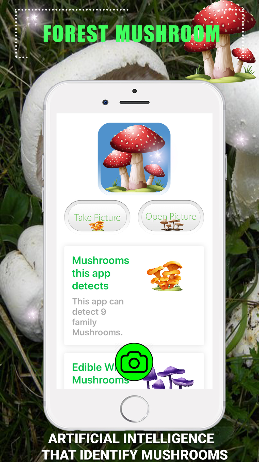 Forest Mushroom para iPhone - Download