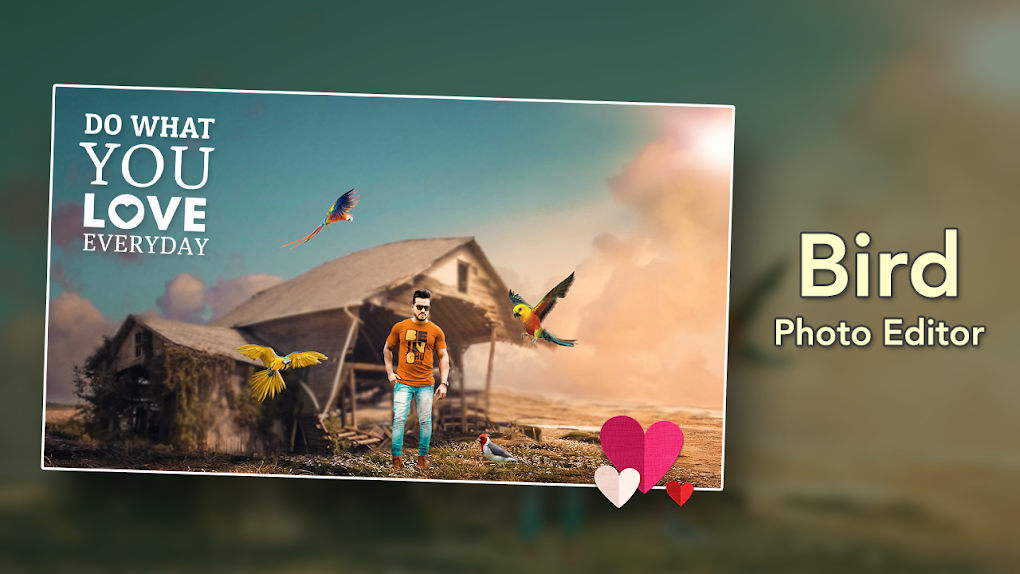Bird Photo Editor for Android - Download
