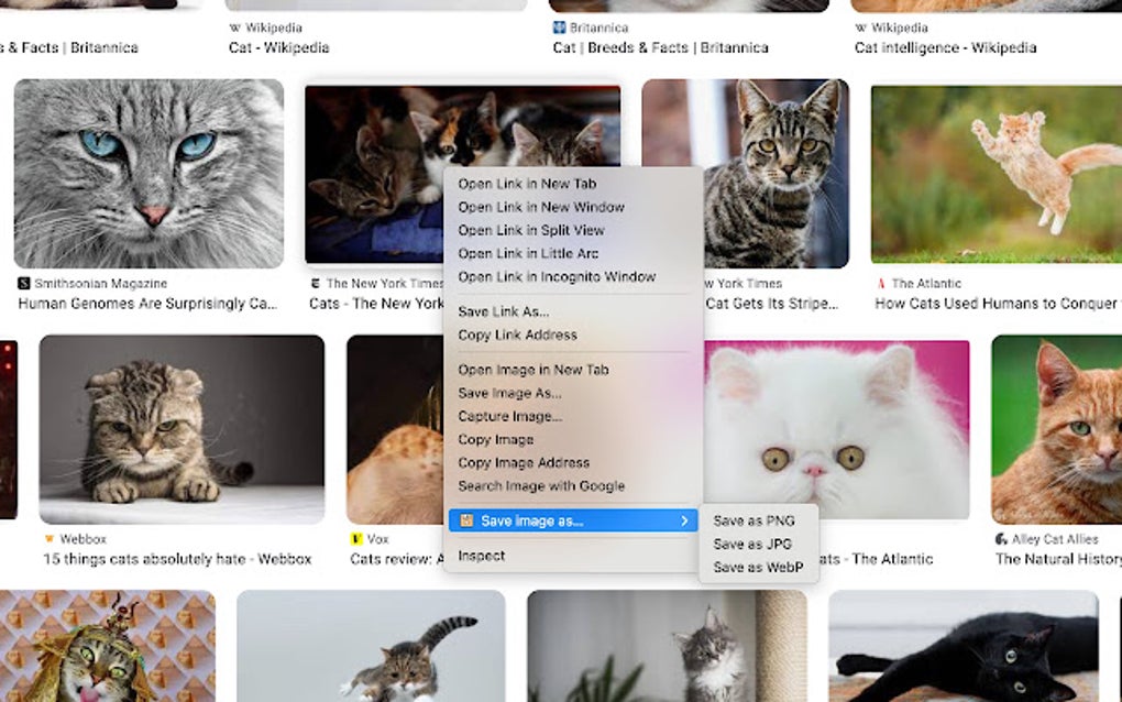 Save Image As for Google Chrome - Extension Download