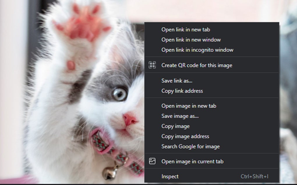 Open image in current tab para Google Chrome - Extensión Descargar Open image in current tab para Google Chrome - Extensión Descargar