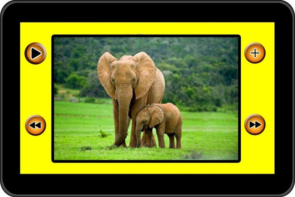 1000+ Animal Sounds APK for Android - Download