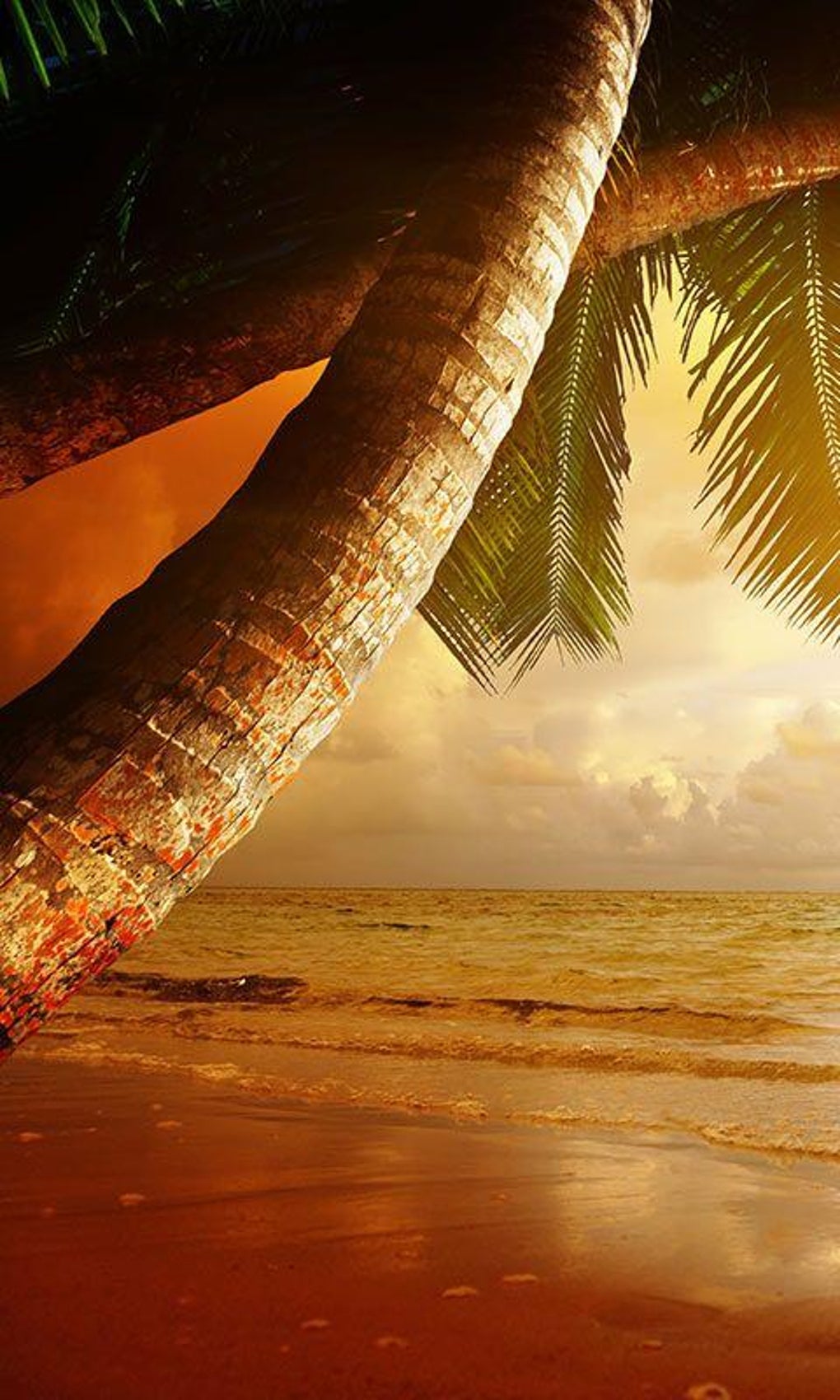 Beach Sunset Live Wallpaper APK para Android - Descargar