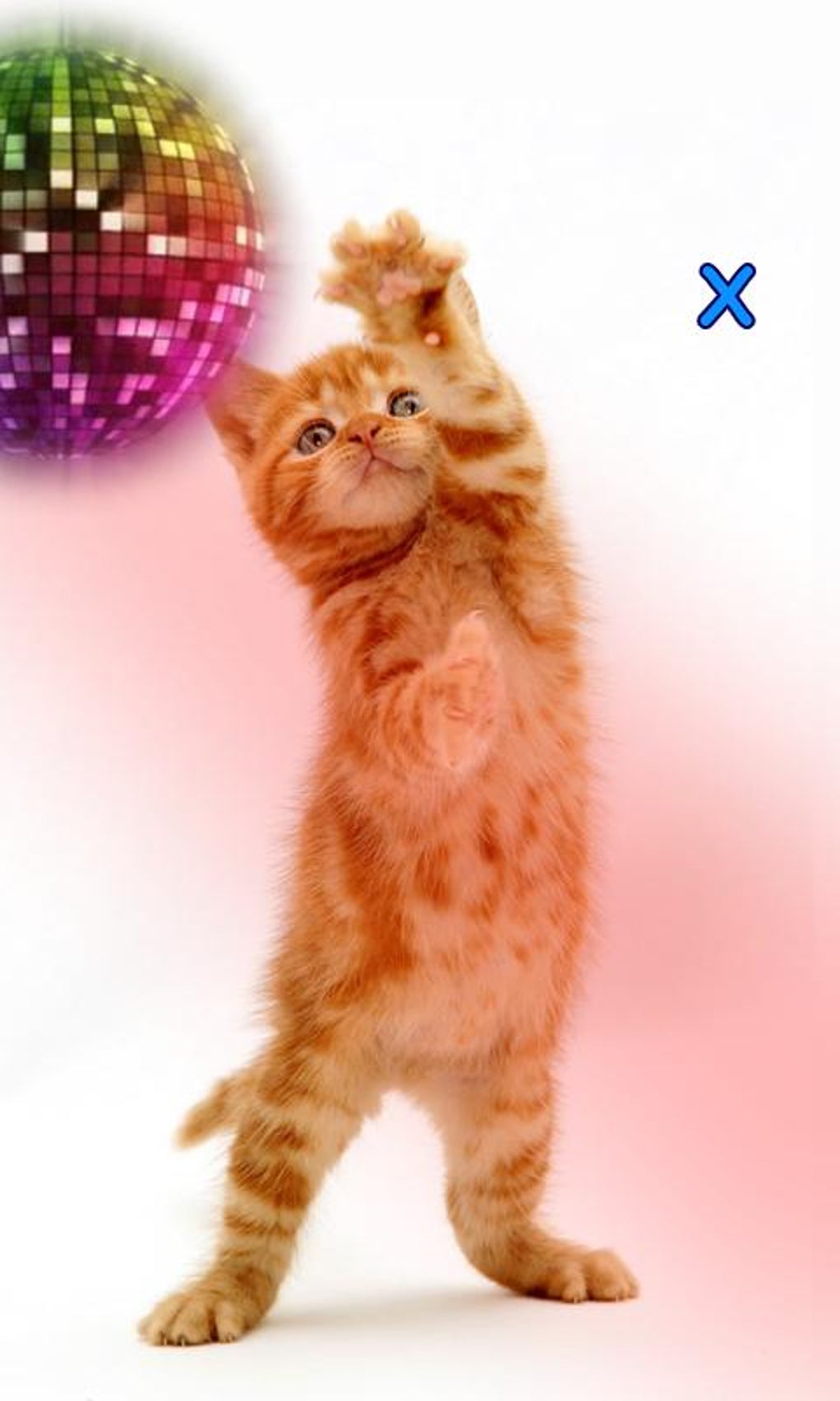 Talking, Dancing Cat. APK na Android - Download