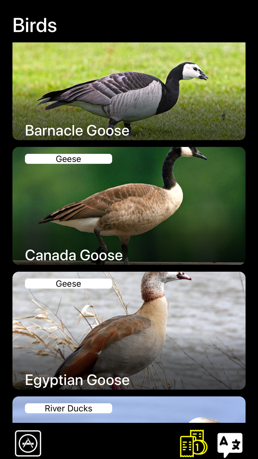 Bird Decoys - European Birds para iPhone - Descargar