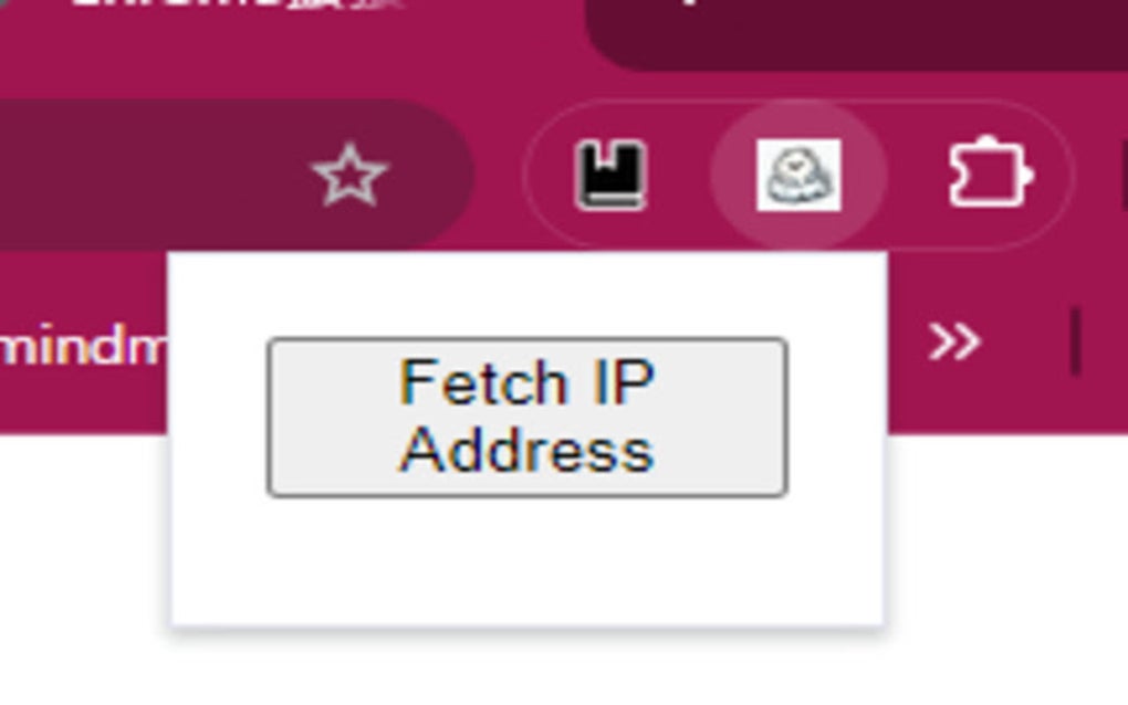 IP Address Fetcher for Google Chrome - Extension Download