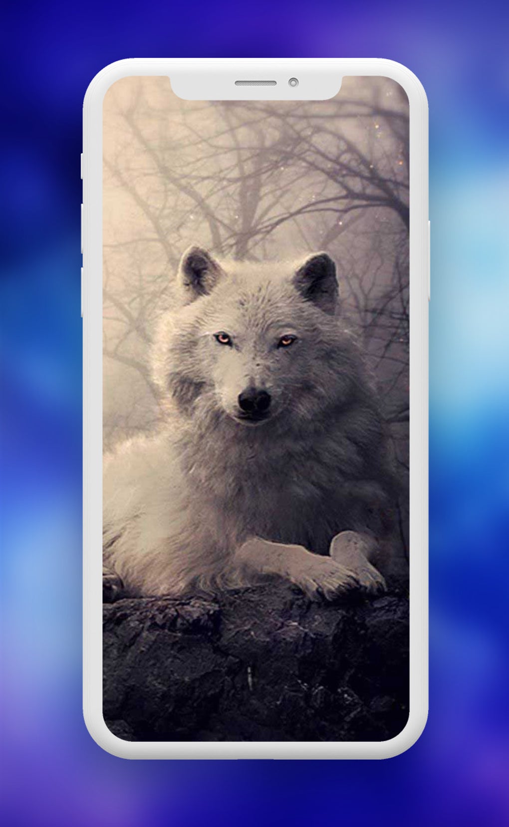 Wolf Wallpaper ـ Wolves for Android - Download