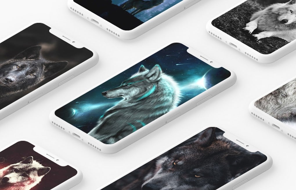 Wolf Wallpaper ـ Wolves for Android - Download