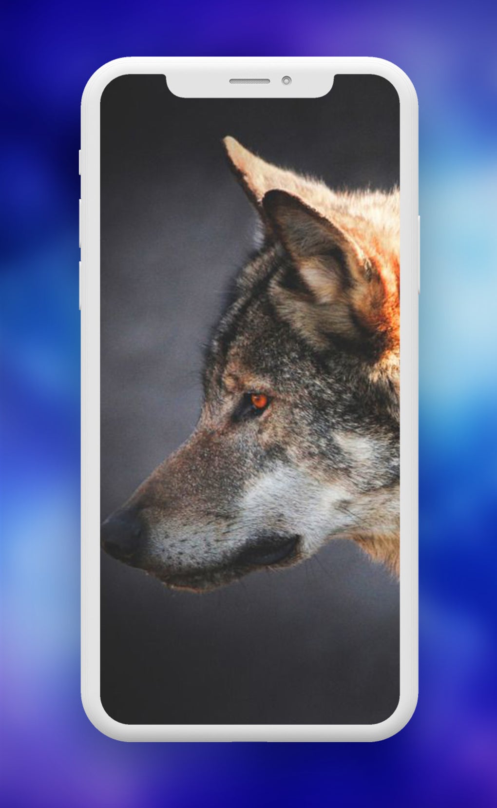 Wolf Wallpaper ـ Wolves for Android - Download