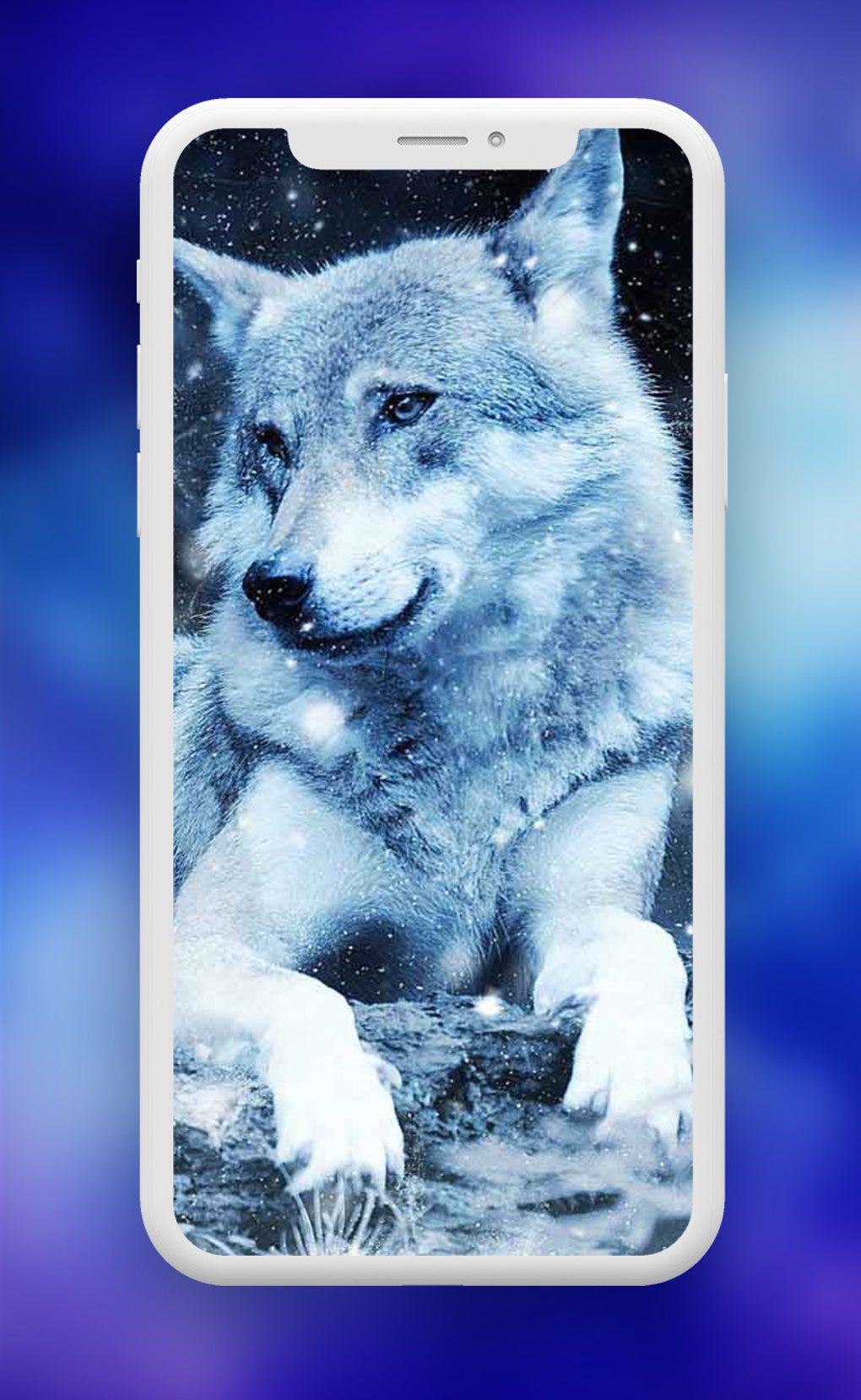 Wolf Wallpaper ـ Wolves for Android - Download