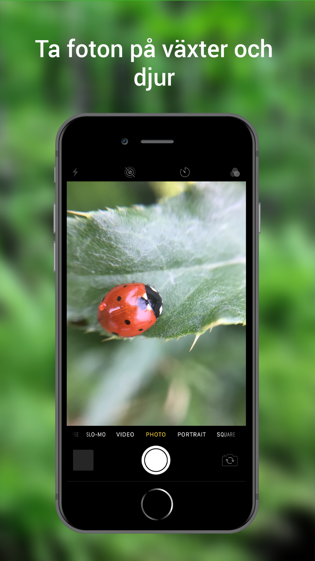 Biologg - naturen som ett spel for iPhone - Download