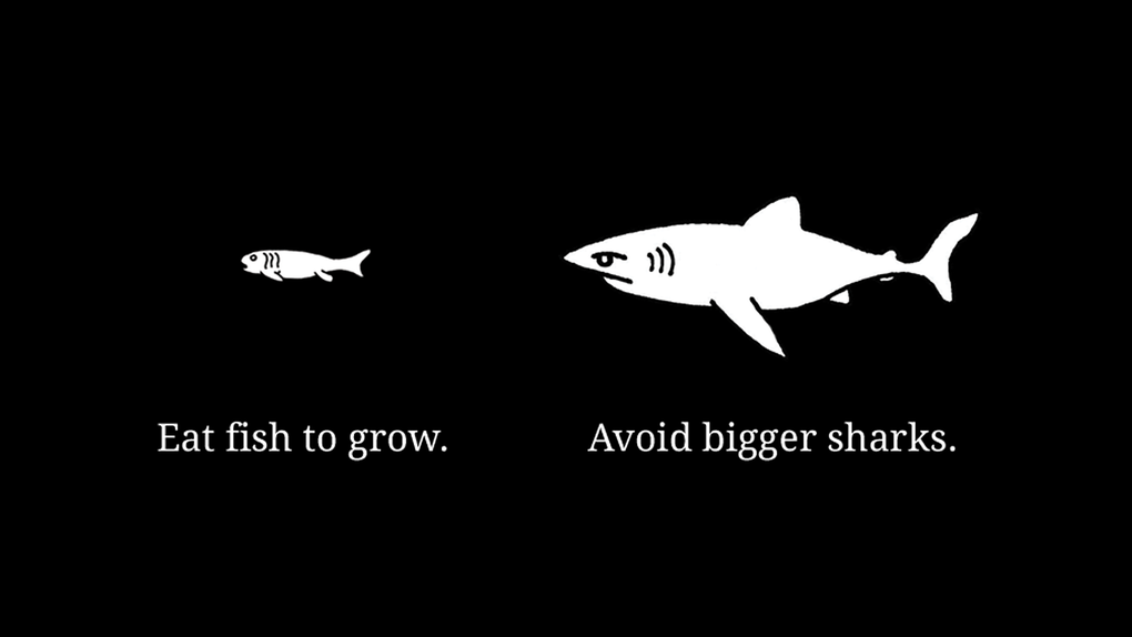 Grow Shark for iPhone - Download