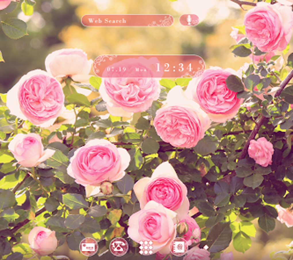 Pink Rose Curtains Theme for Android - Download
