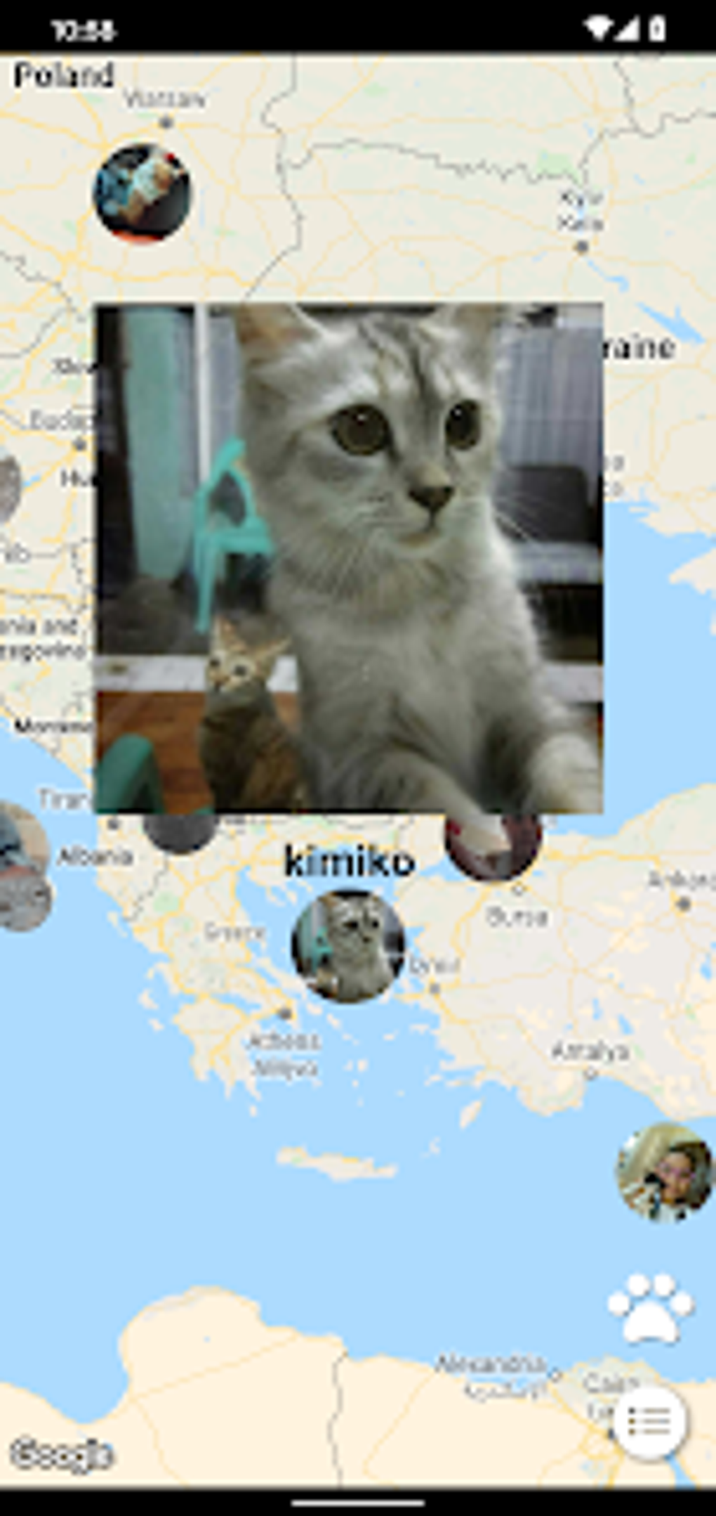 Cat Map para Android - Descargar