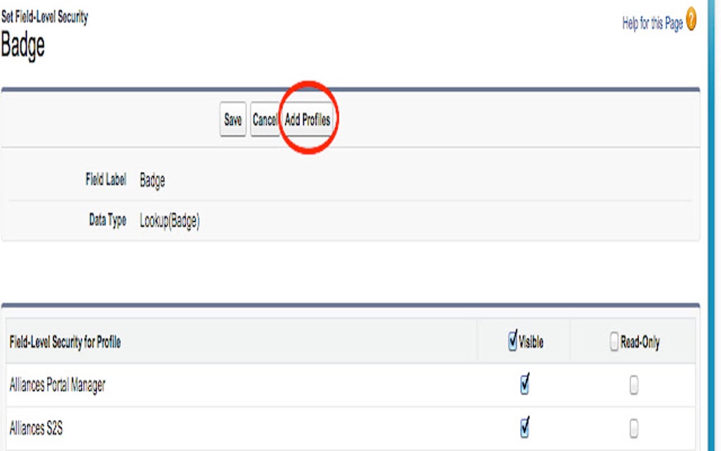 Salesforce Profile Access Helper para Google Chrome - Extensión Descargar