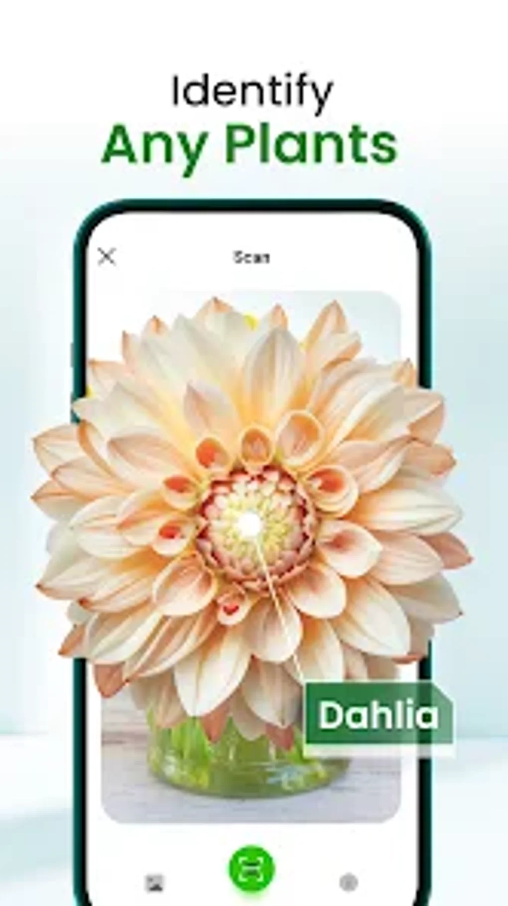 Florify: AI Plant Identifier for Android - Download