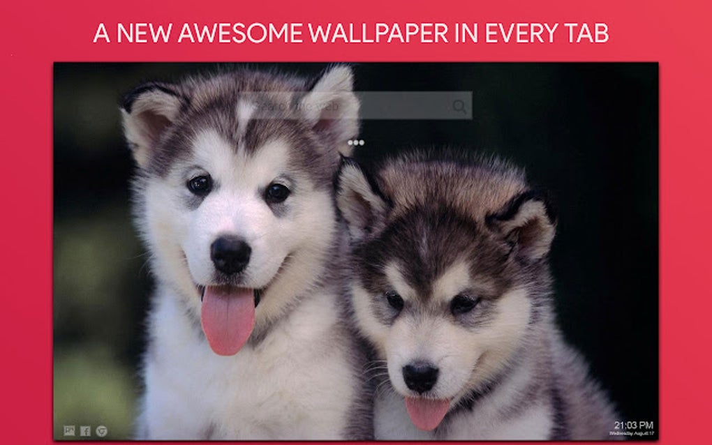 Dogs And Puppies Wallpaper HD Custom New Tab for Google Chrome ...