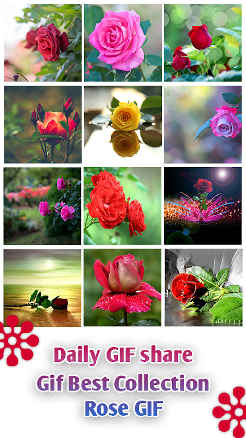 Rose GIF APK for Android - Download