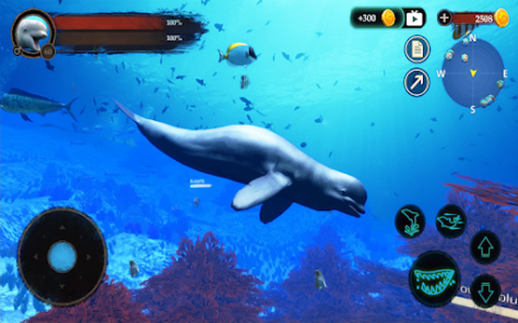 The Beluga Whale for Android - Download