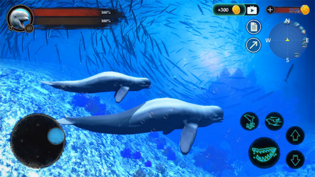 The Beluga Whale for Android - Download