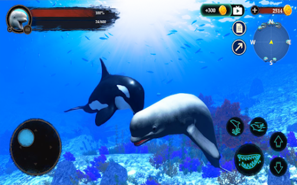 The Beluga Whale for Android - Download