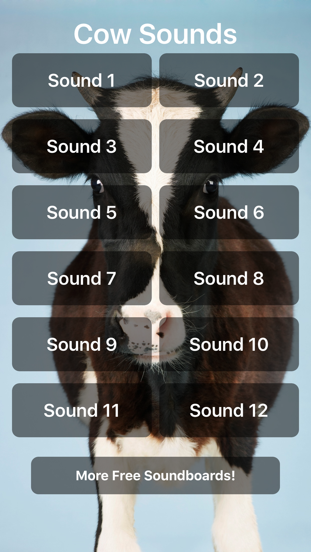 Cow Sounds for iPhone - Download