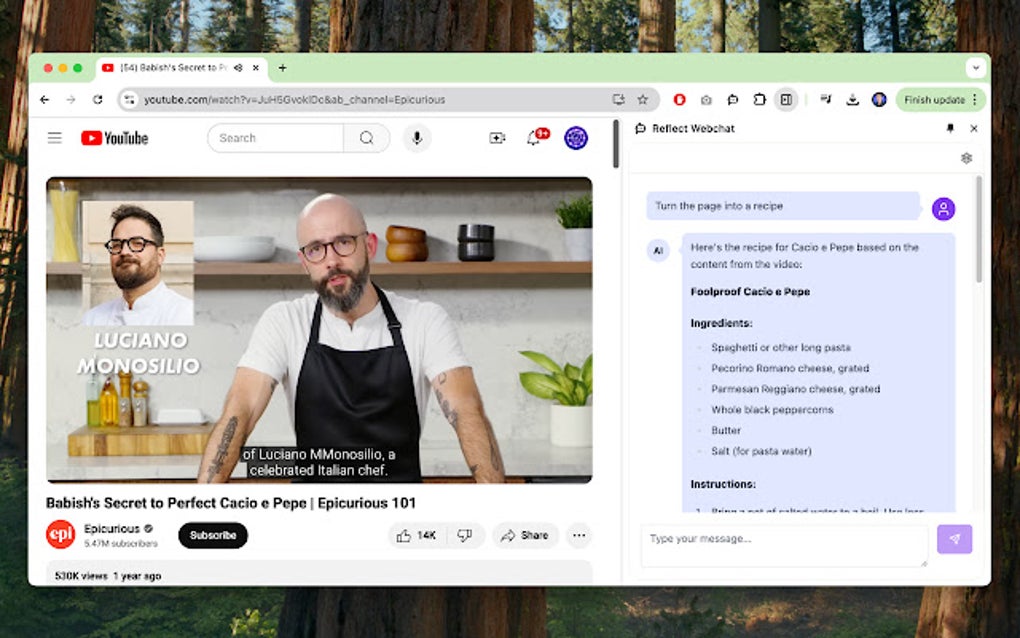 Reflect Webchat para Google Chrome - Extensión Descargar