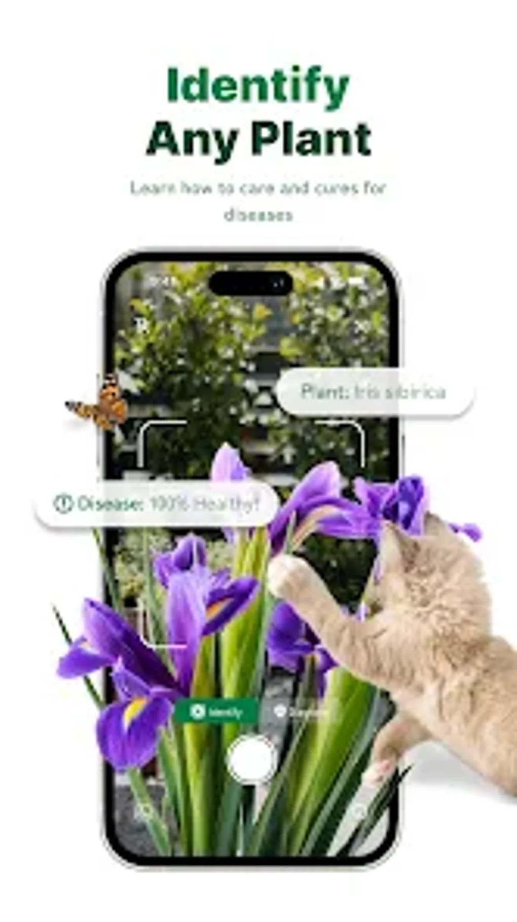 Plantful- AI Plant Identifier para Android - Descargar