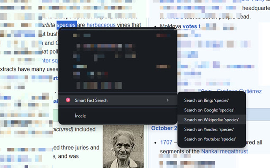 Smart Fast Multiple Search for Google Chrome - Extension Download