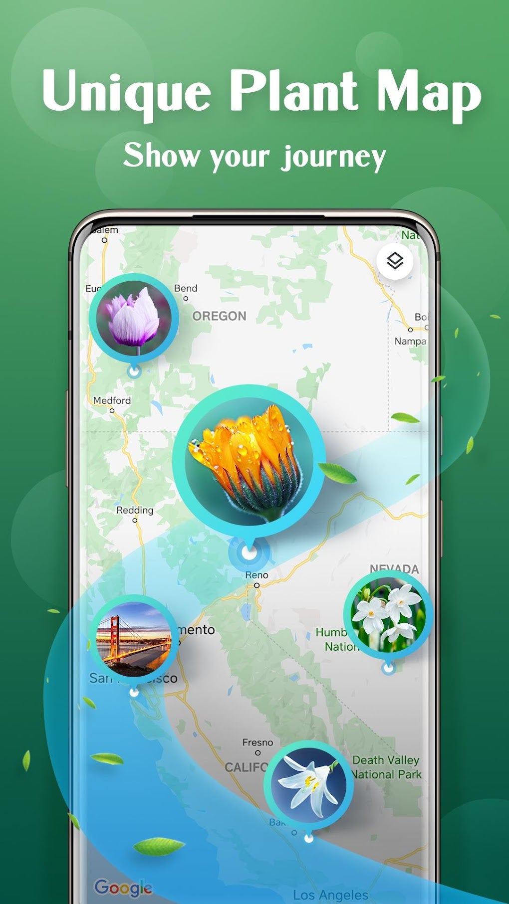 Plant Lens - Plant Flower Identification APK for Android - Download