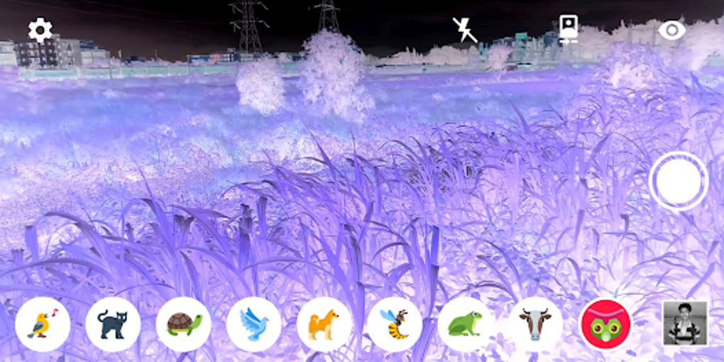 Animal Vision Simulator for Android - Download