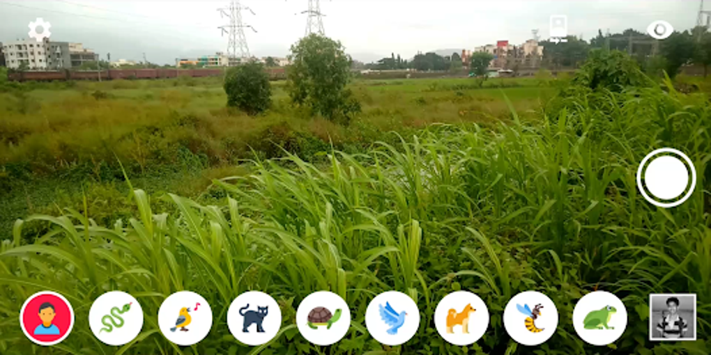 Animal Vision Simulator for Android - Download