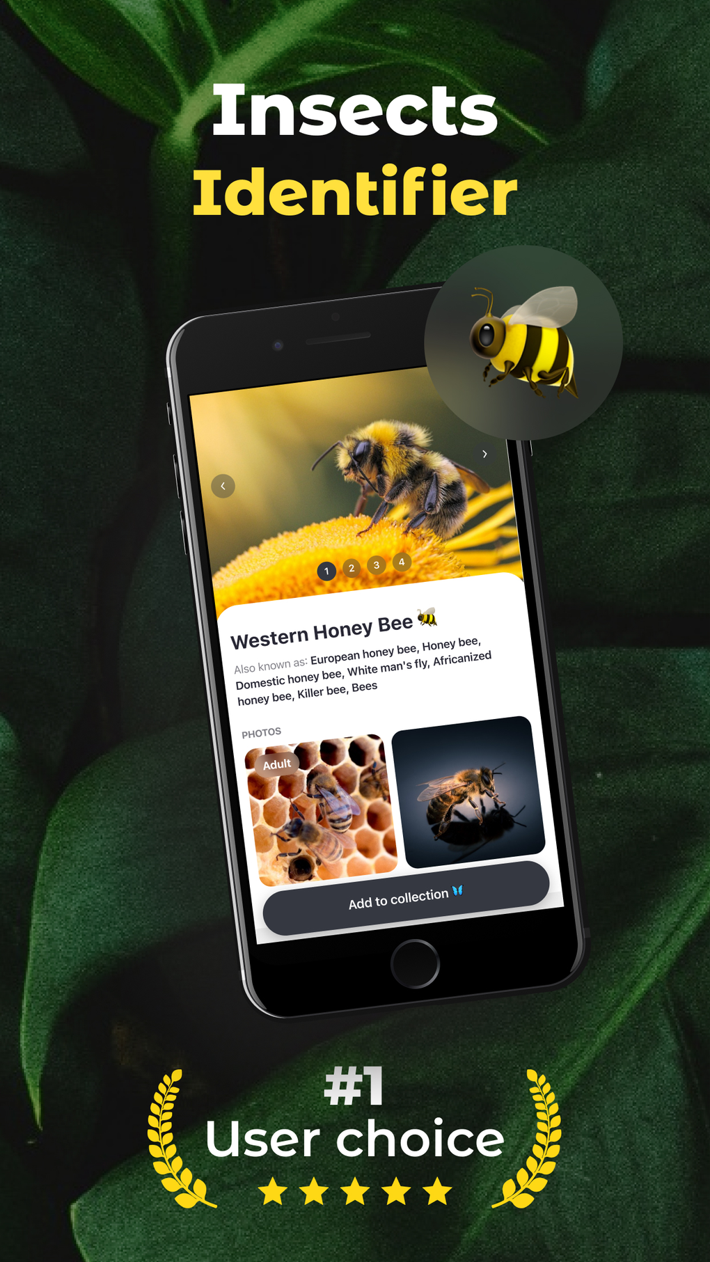 Insect Identifier Bug ID para iPhone - Descargar