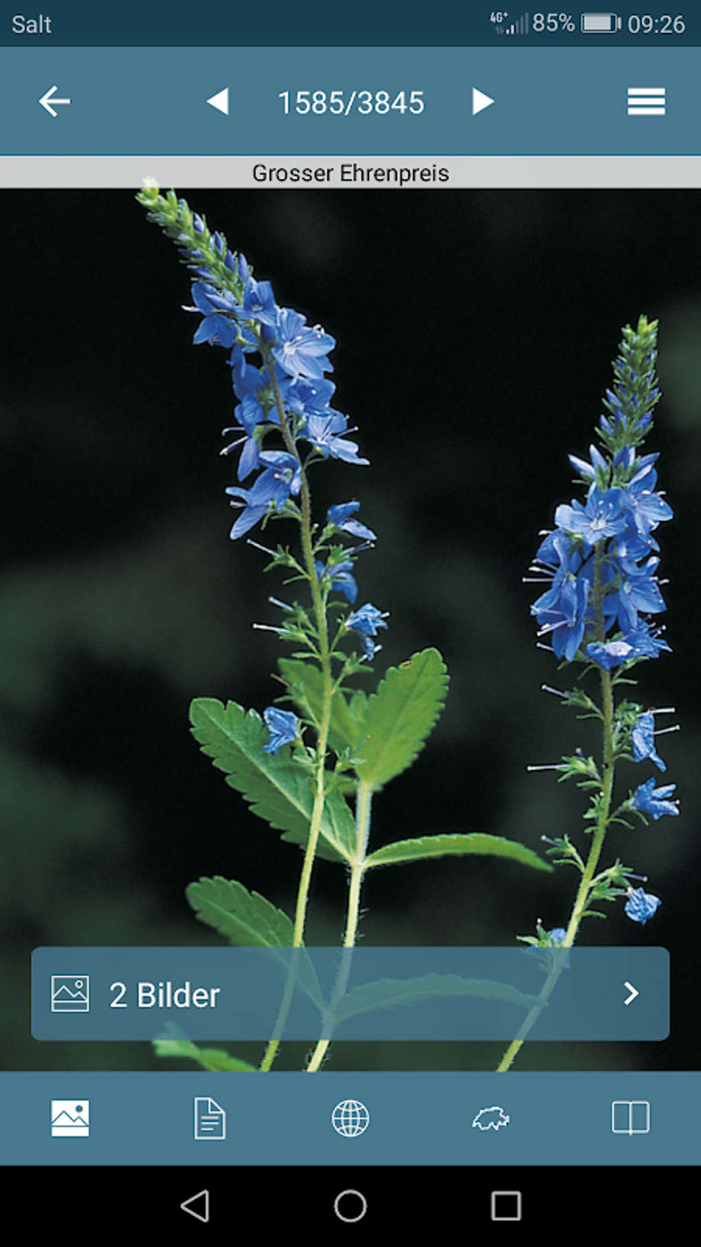 Flora Helvetica Mini Deutsch APK for Android - Download