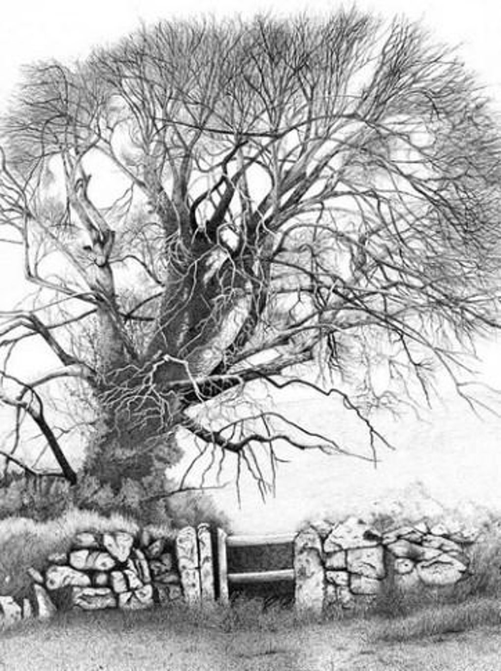 Pencil Sketch Drawing Android 