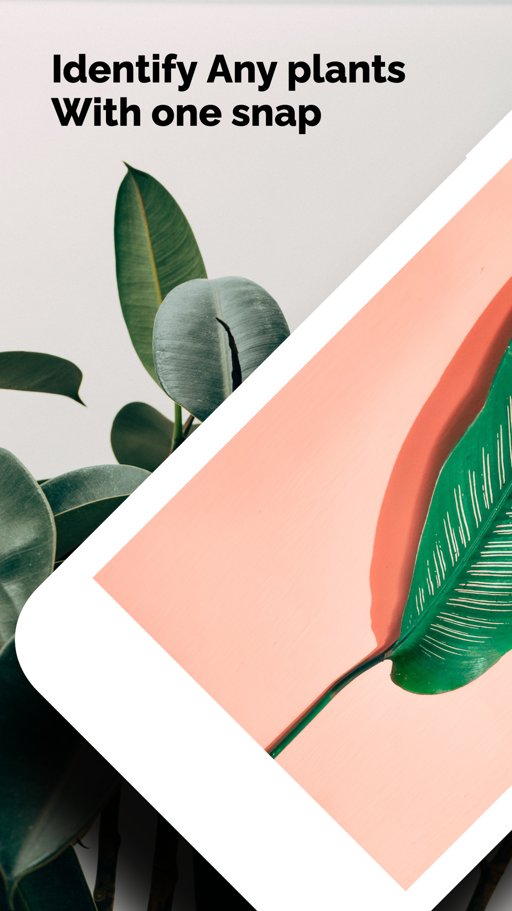 PlantBox - Gardening assistant for iPhone - Download