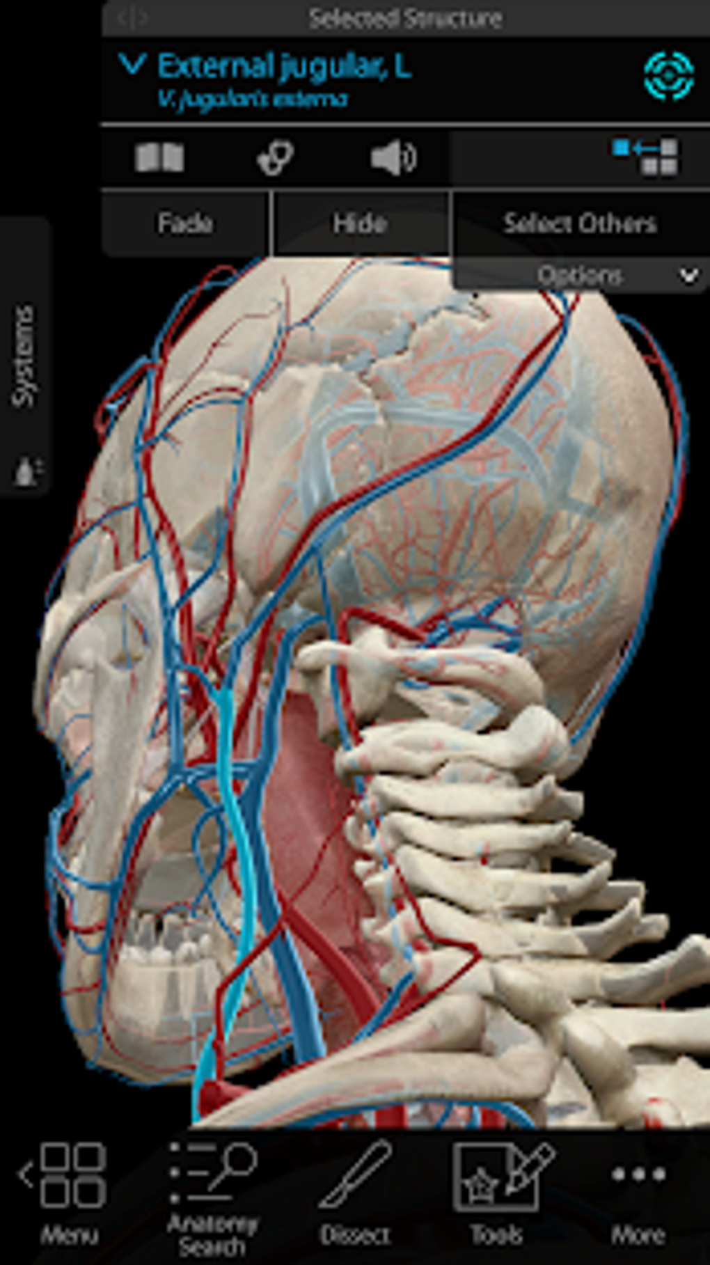 Human Anatomy Atlas 2021 Eaglebopqe Human Anatomy Atlas 2021 Eaglebopqe