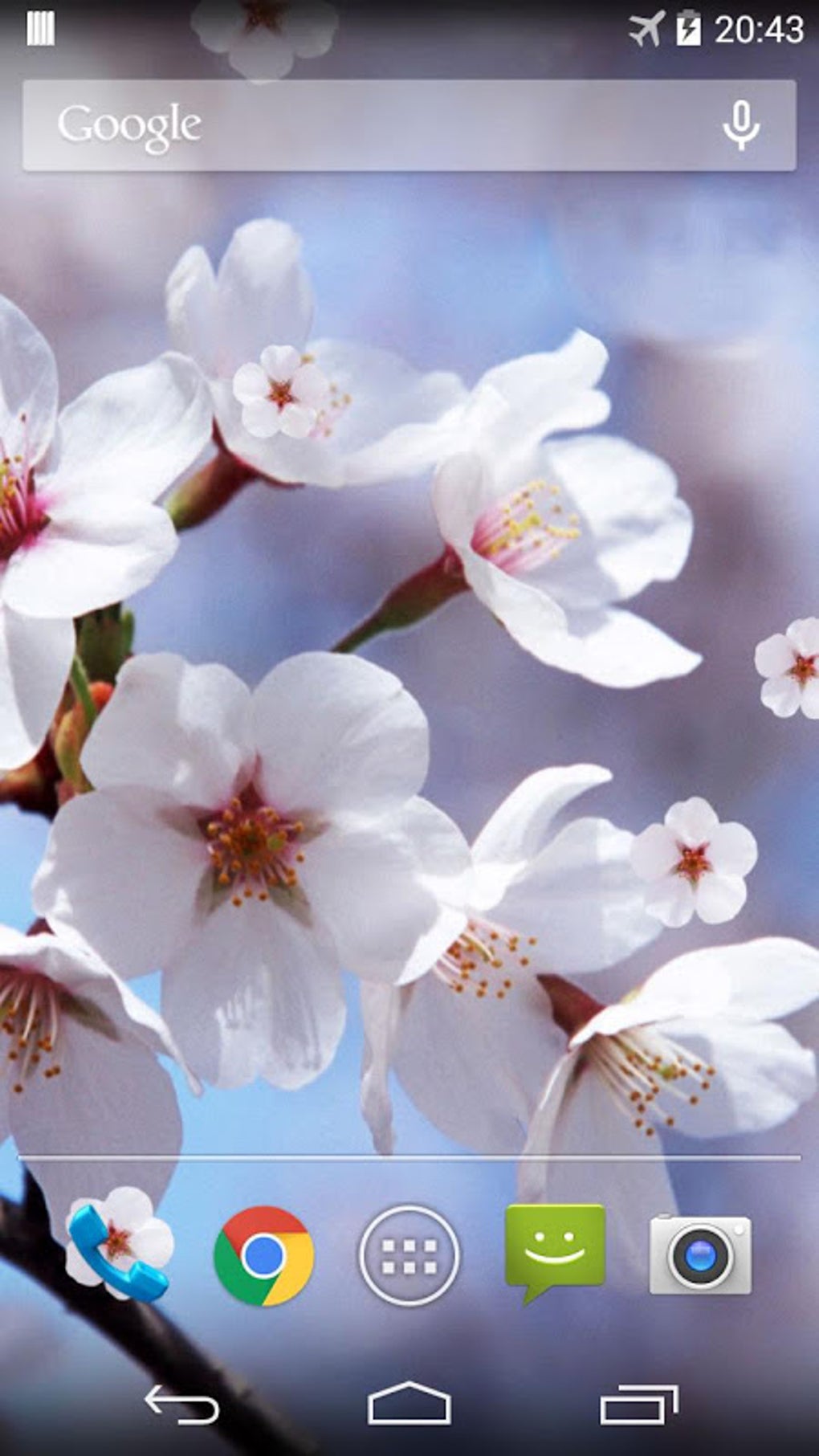 Sakura Live Wallpaper APK for Android - Download