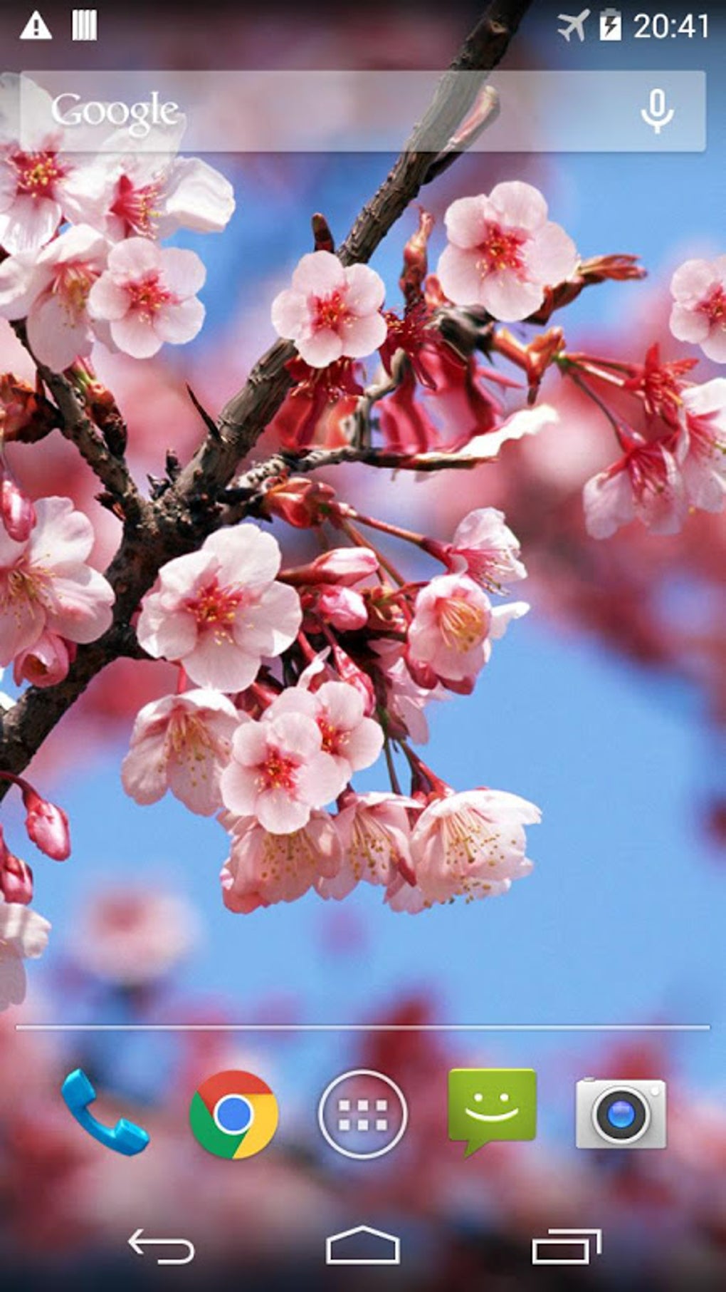 Sakura Live Wallpaper APK for Android - Download