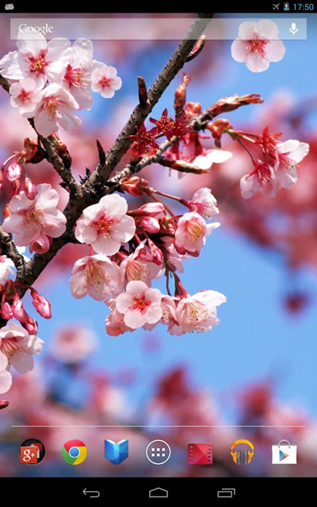 Sakura Live Wallpaper APK per Android - Download