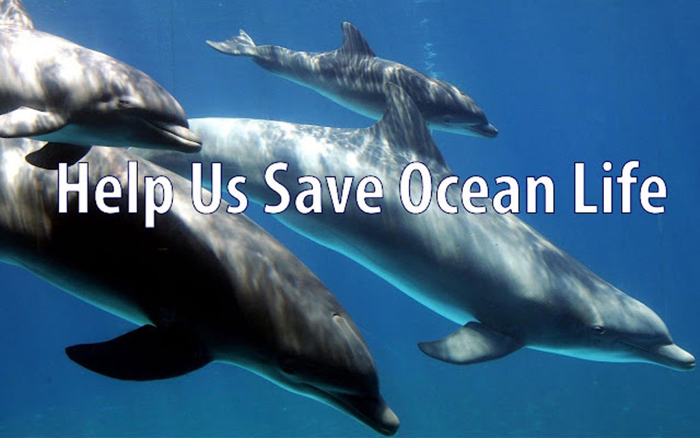 OCG - Saving Ocean Life para Google Chrome - Extensión Descargar