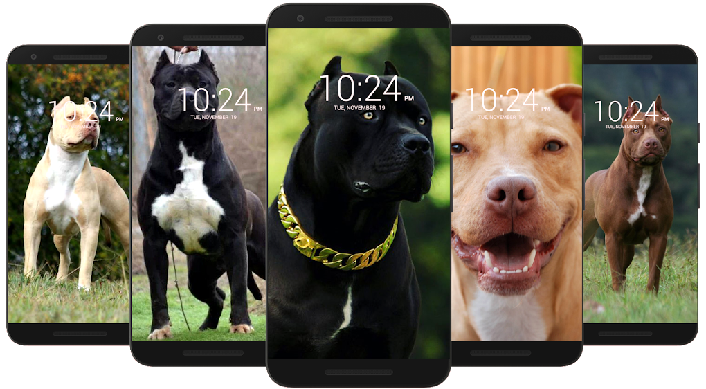 Pitbull Wallpaper HD for Android - Download