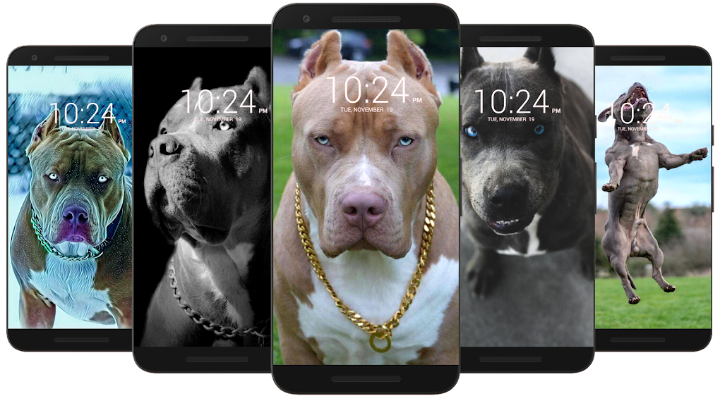 Pitbull Wallpaper HD for Android - Download