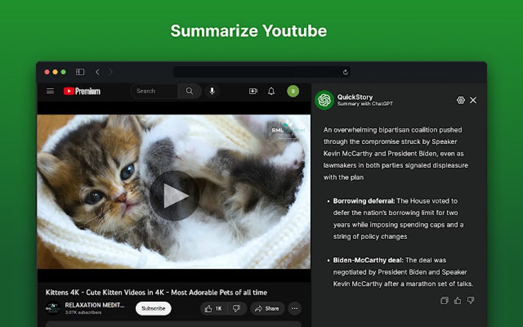 Youtube Summarizer: Watch Later Cleaning Tool per Google Chrome - Estensione Download