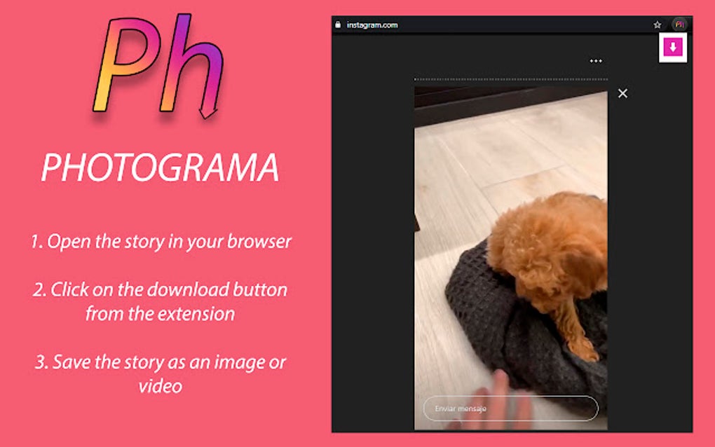 Photograma for Google Chrome - Extension Download