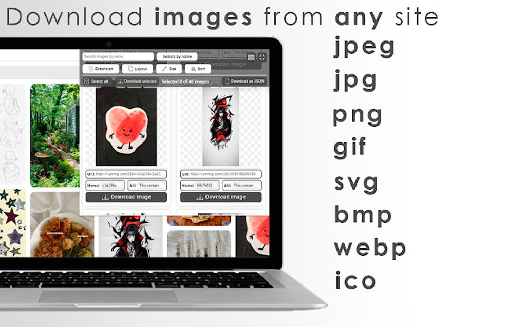 Image Downloader pour Google Chrome - Extension Télécharger