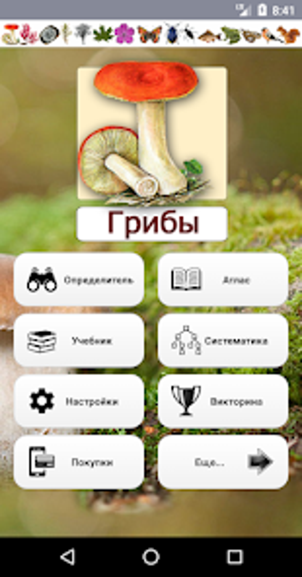 Android 용 EcoGuide: Russian Mushrooms - 다운로드