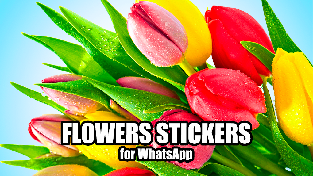 Flowers Stickers for WhatsApp for Android - Download