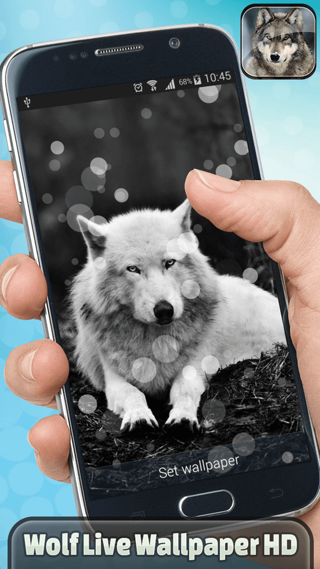 Wolf Live Wallpaper HD APK for Android - Download