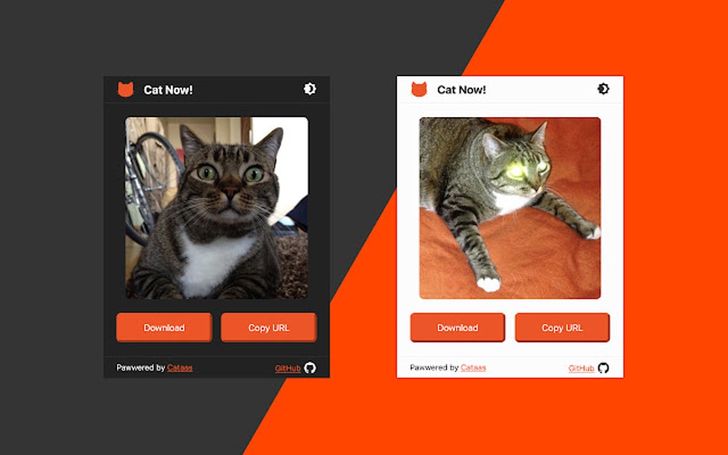 Cat Now for Google Chrome - Extension Download