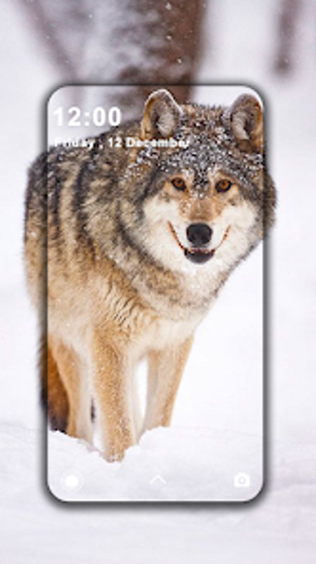 Wolf Wallpaper HD pour Android - Télécharger